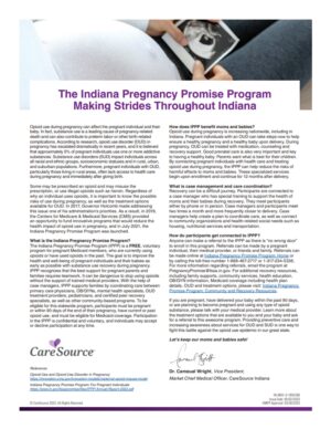 The Indiana Pregnancy Promise Program - Making Strides Throughout ...